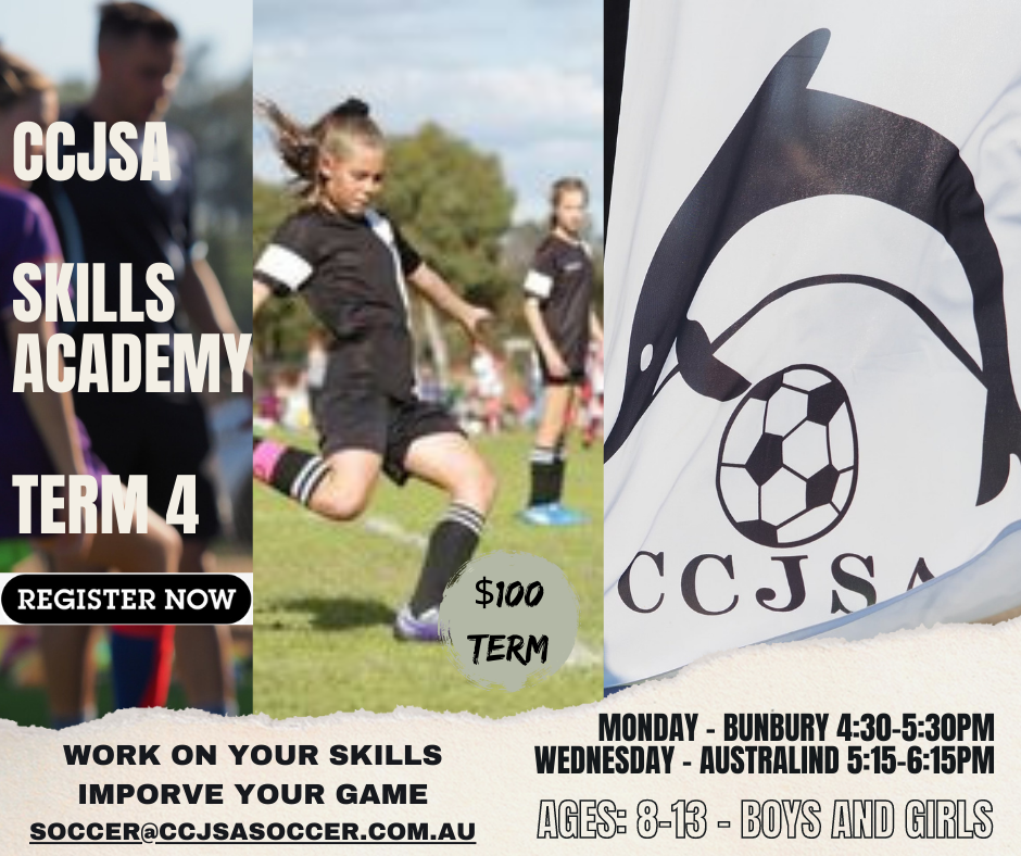 EmailMe Form - CCJSA Skills Academy - Term 4